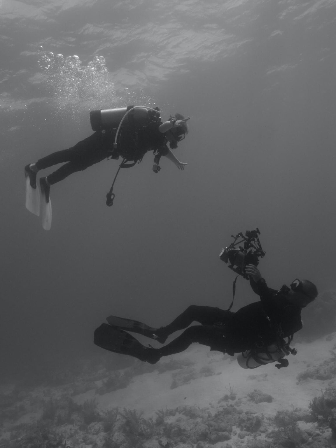 Key Largo PADI, TDI & SDI Scuba Diving School & Courses at Horizon Divers