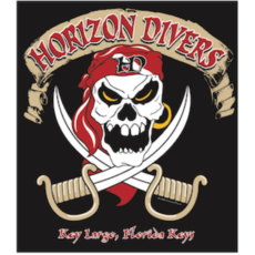 Key Largo Florida Scuba Diving Training & Tours with Horizon Divers ...