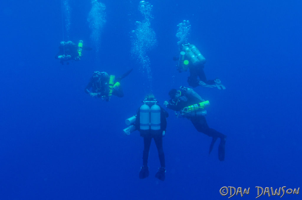 PADI DSAT Tec Trimix Diver - Horizon Divers