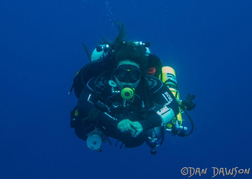 PADI TEC 40 Diver - Horizon Divers